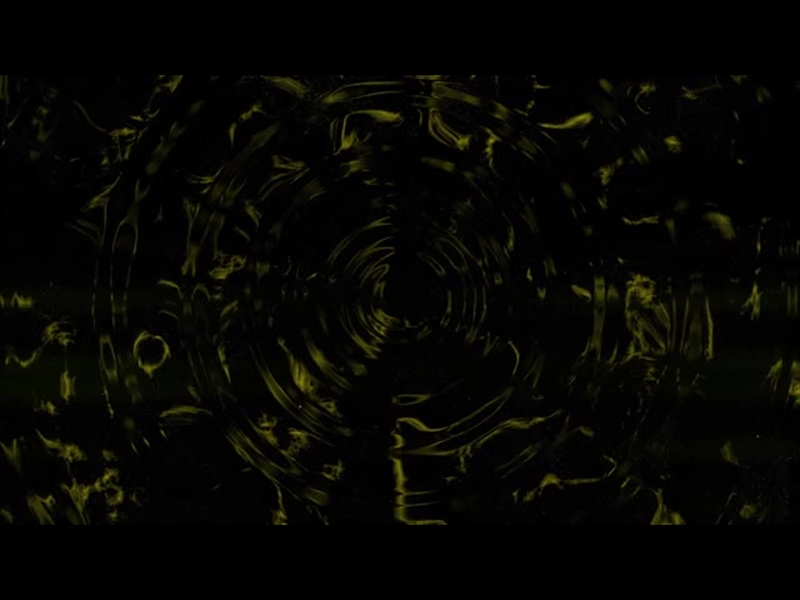 Magnify Collection | Shift Worship | Playback Media Store