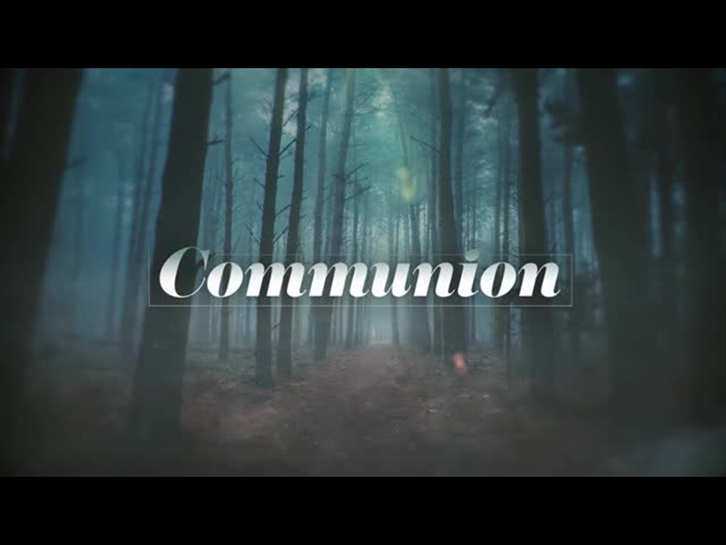 Moody Autumn Collection | Shift Worship | WorshipHouse Media