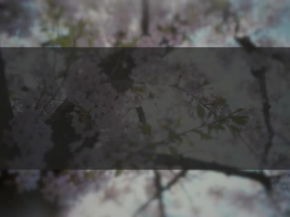 Muted Spring Bloom Box | Shift Worship | WorshipHouse Media