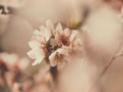 Muted Spring Collection | Shift Worship | Playback Media Store