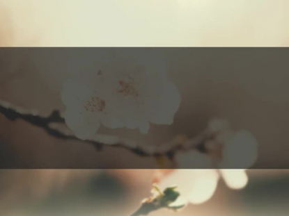 Muted Spring Collection | Shift Worship | Playback Media Store