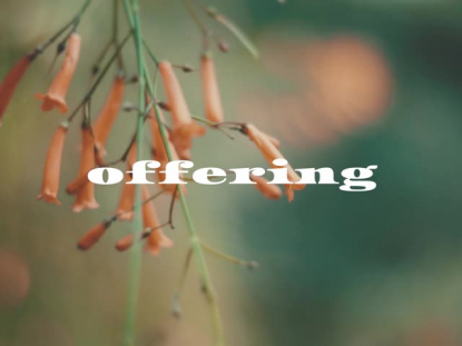 Muted Spring Collection | Shift Worship | WorshipHouse Media