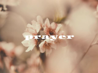 Spring Wallpaper Prayer Amazon.com: Quwinty Hail Mary Prayer Poster