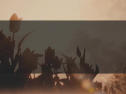 Muted Spring Collection | Shift Worship | Playback Media Store