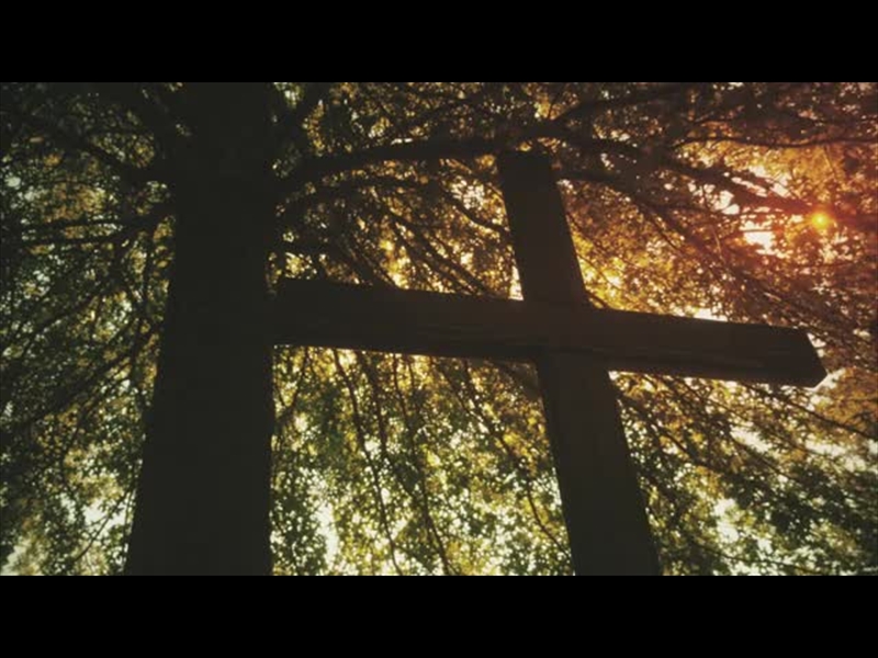 Nature Cross 12 | Shift Worship | Playback Media Store