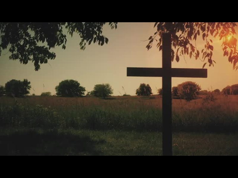 Nature Cross 3 | Shift Worship | WorshipHouse Media