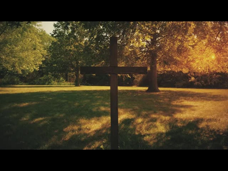 Nature Cross 6 | Shift Worship | WorshipHouse Media