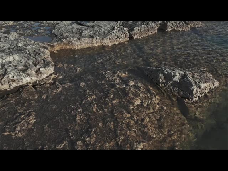 Northern Shores Collection | Shift Worship | Playback Media Store