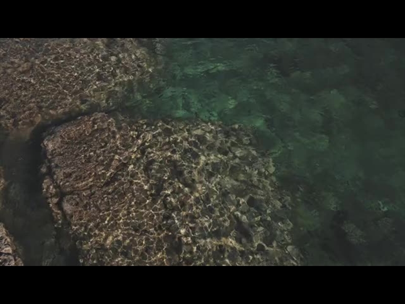 Northern Shores Collection | Shift Worship | Playback Media Store