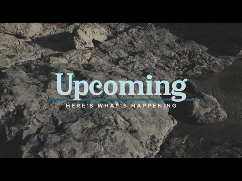 Northern Shores Collection | Shift Worship | Playback Media Store