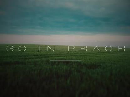 Open Fields Collection | Shift Worship | Playback Media Store