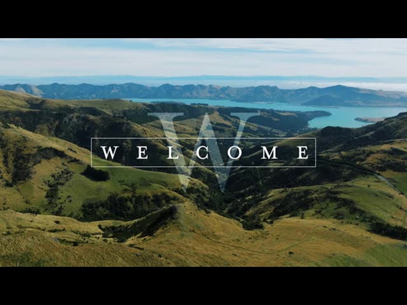 Search | Playback Media Store