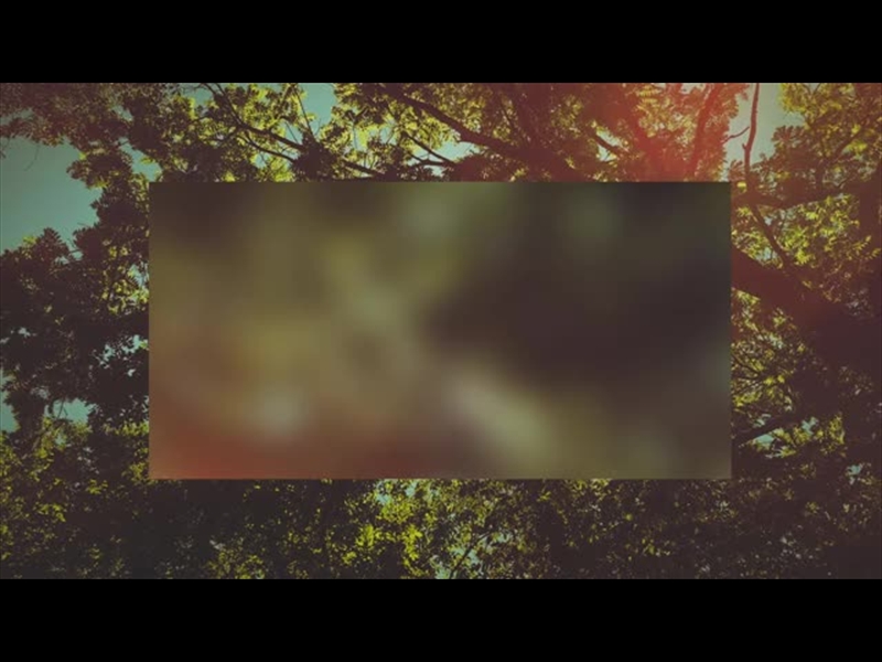 Summer Bright Canopy Alt | Shift Worship | Playback Media Store