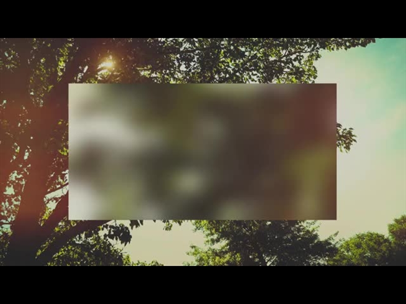 Summer Bright Tree Alt | Shift Worship | WorshipHouse Media