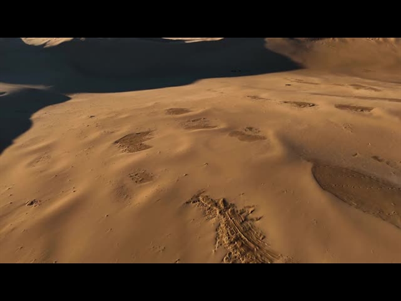 The Dunes Collection | Shift Worship | Playback Media Store