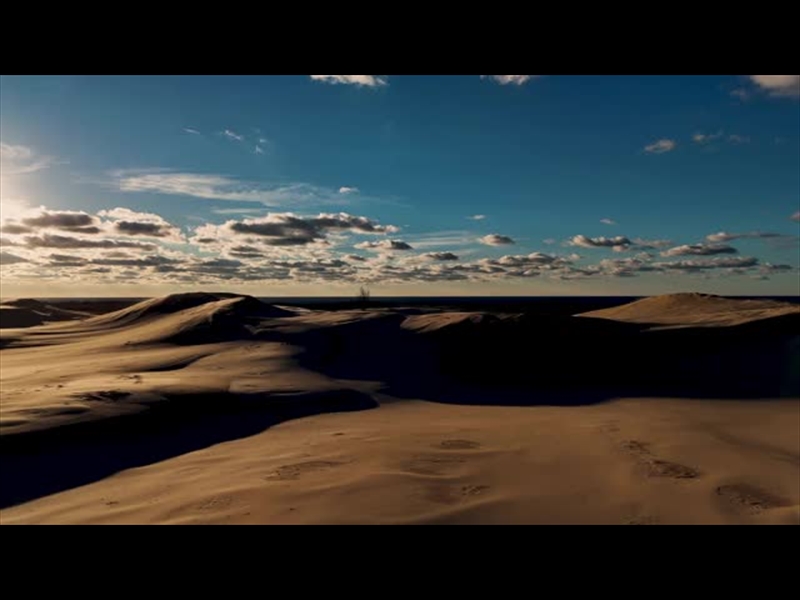 Search | Playback Media Store