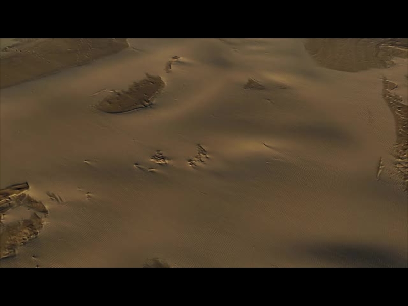 The Dunes Collection | Shift Worship | Playback Media Store