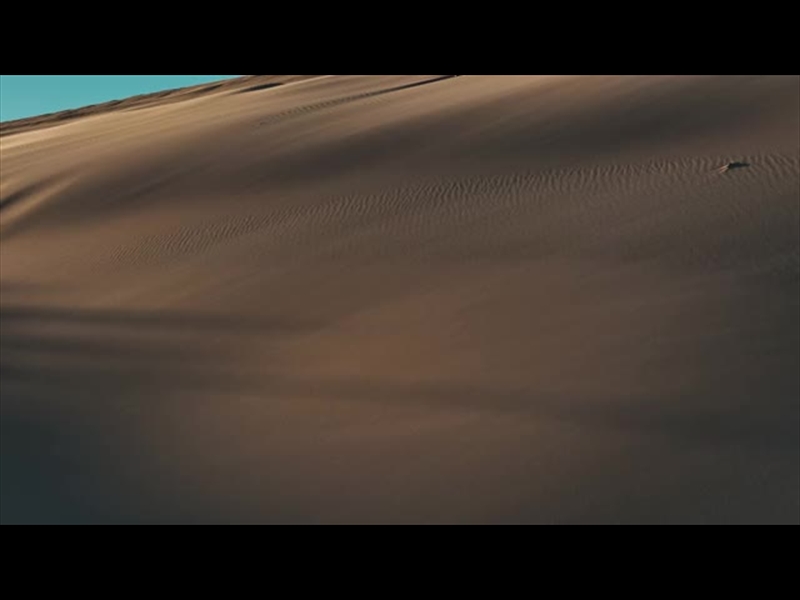 Search | Playback Media Store