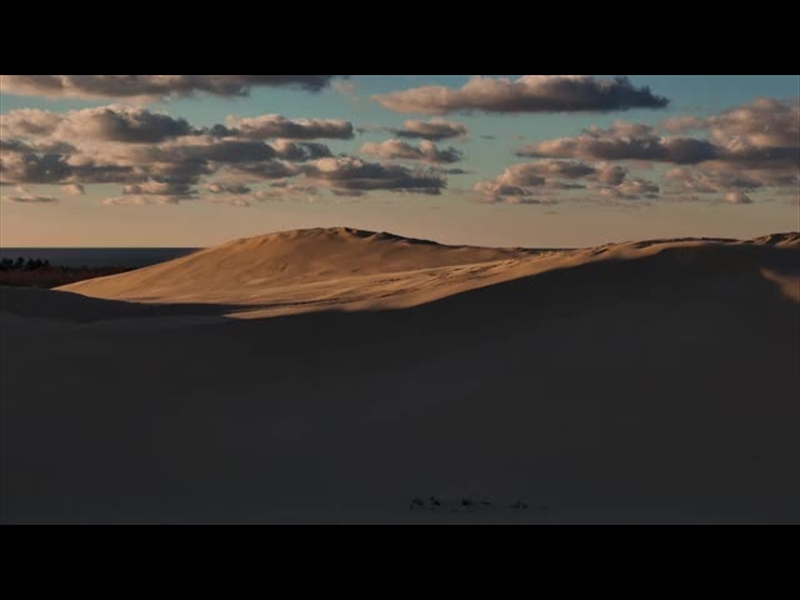 The Dunes Collection | Shift Worship | Playback Media Store