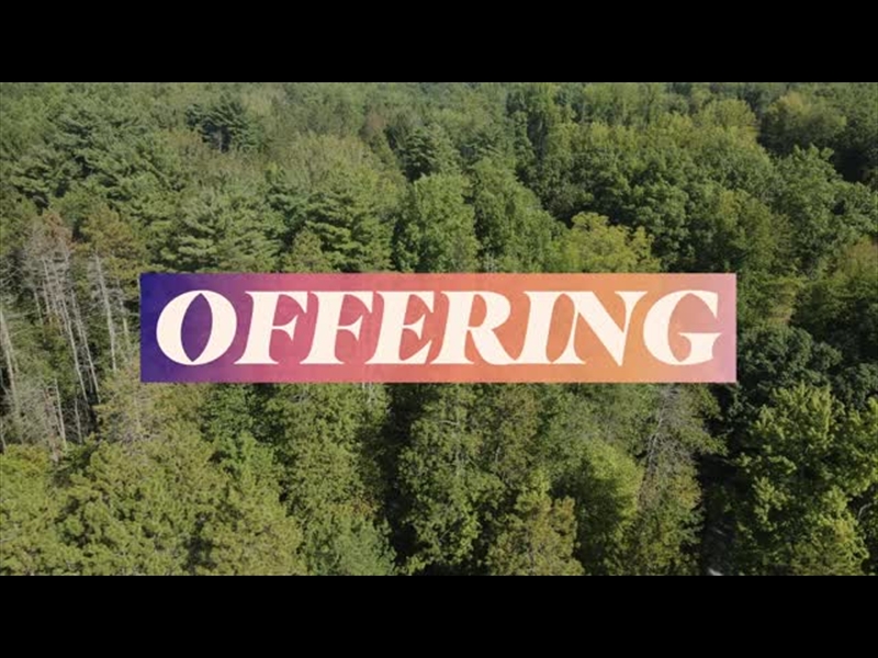 The Forest Collection | Shift Worship | WorshipHouse Media