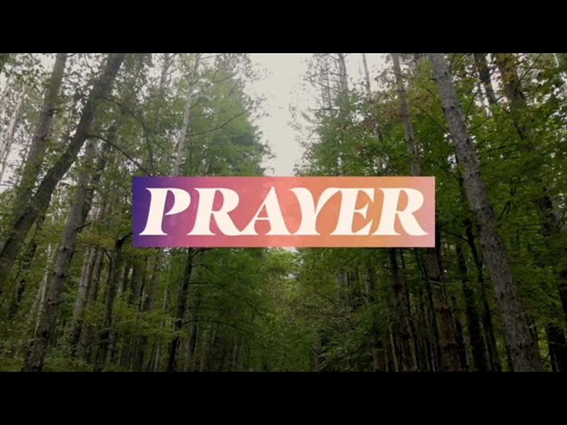 The Forest Prayer | Shift Worship | Playback Media Store
