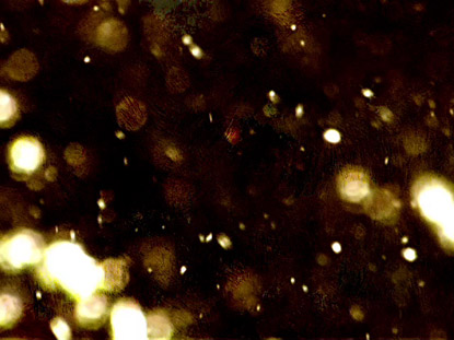 Amber Particles | Shift Worship | WorshipHouse Media