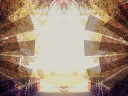 Fall Geometry Collection | Shift Worship | Playback Media Store