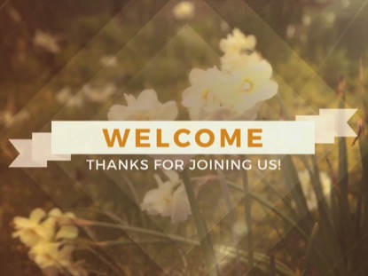 Fresh Flowers Welcome | Shift Worship | Playback Media Store