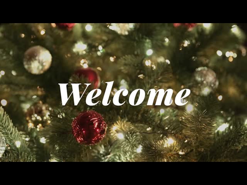 Welcome Christmas Lights