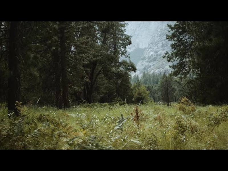 Yosemite Meadows Motion - 10 | Visual Revival | WorshipHouse Media