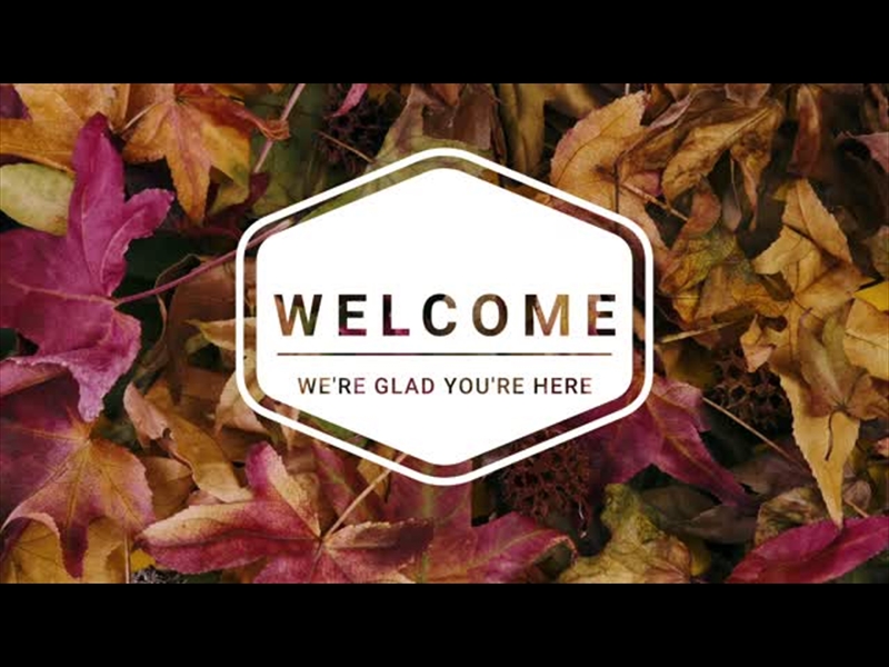 Trending Worship Backgrounds & Loops for Church | WorshipHouse Media