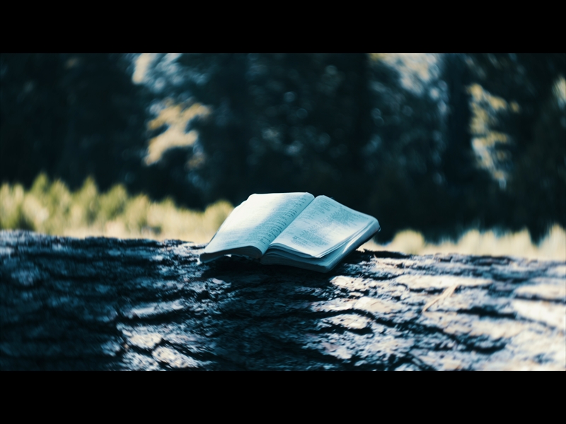 Bible And Crown 2 | Visual Church | WorshipHouse Media