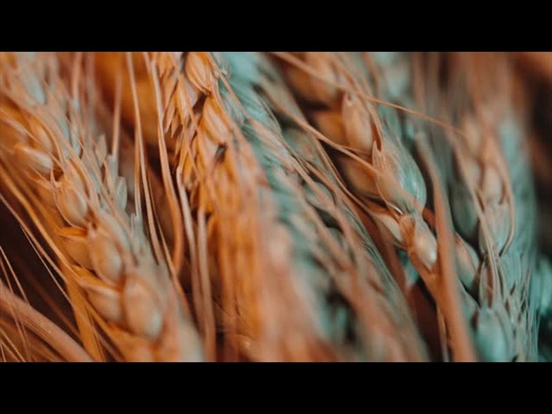 Communion Motion 8 | Visual Church | WorshipHouse Media