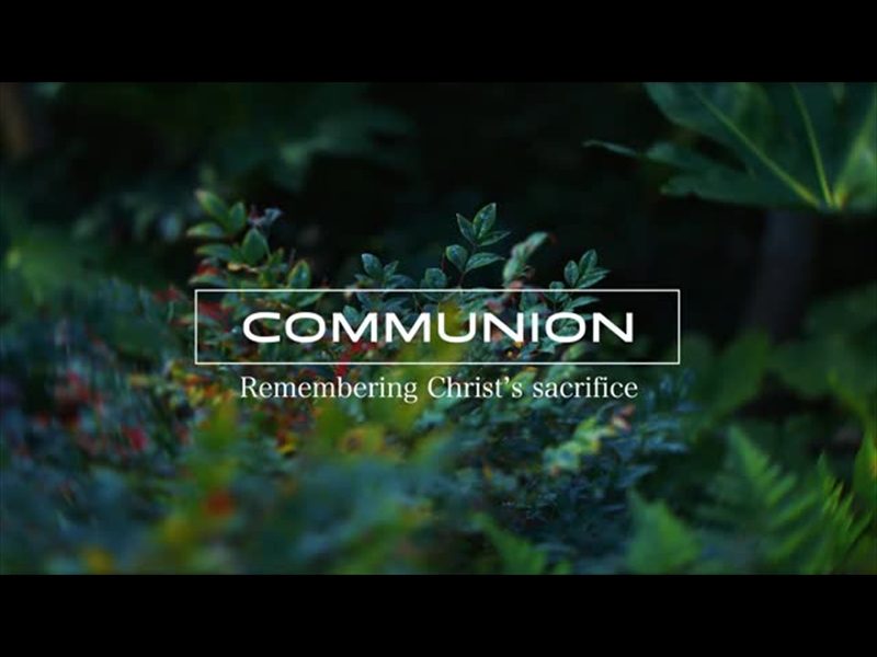 Spring's Embrace | Visual Church | WorshipHouse Media
