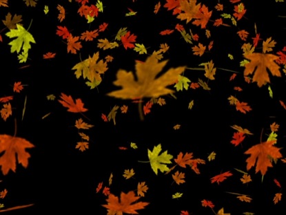 Falling Leaves Whirlwind Loop | Vision 111 | WorshipHouse Media
