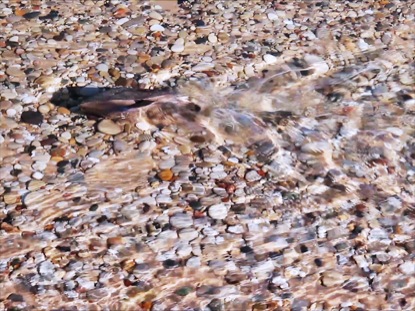 Shallow Stream | Vision 111 | WorshipHouse Media