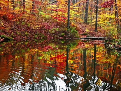 Yellowwood Forest Reflection Loop | Vision 111 | WorshipHouse Media