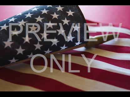 | Playback Media Store