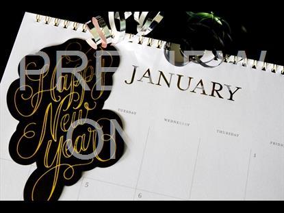 January Calendar With Happy New Year | Sparrow Stock | Playback Media Store