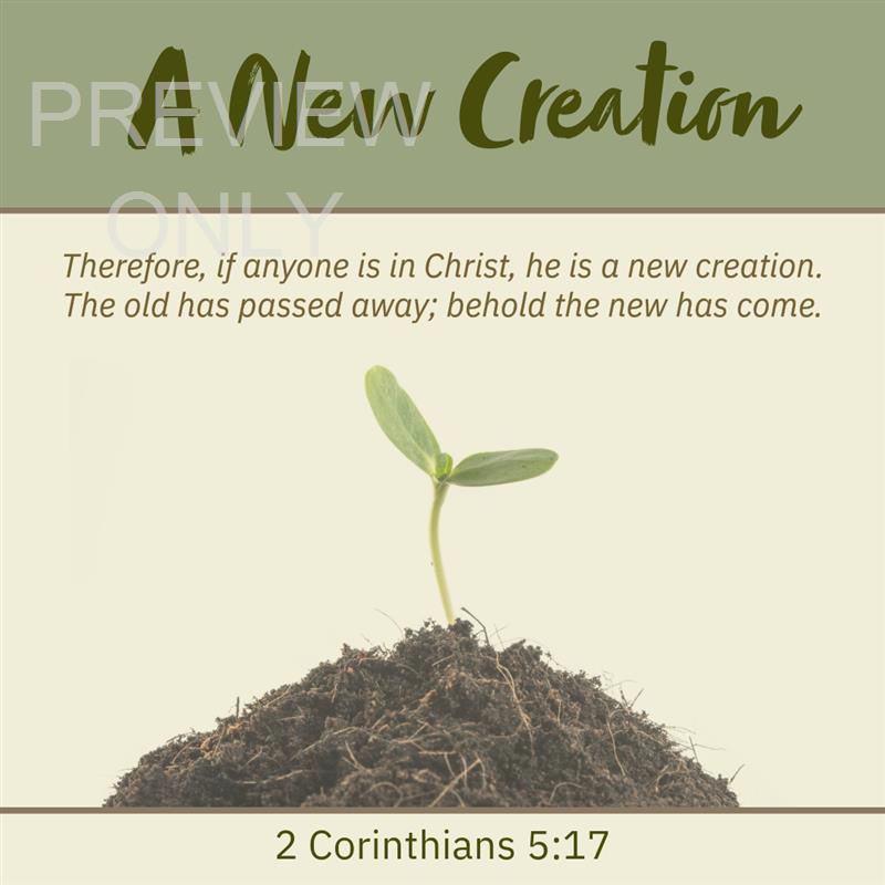 A New Creation | Now i See Media | WorshipHouse Media