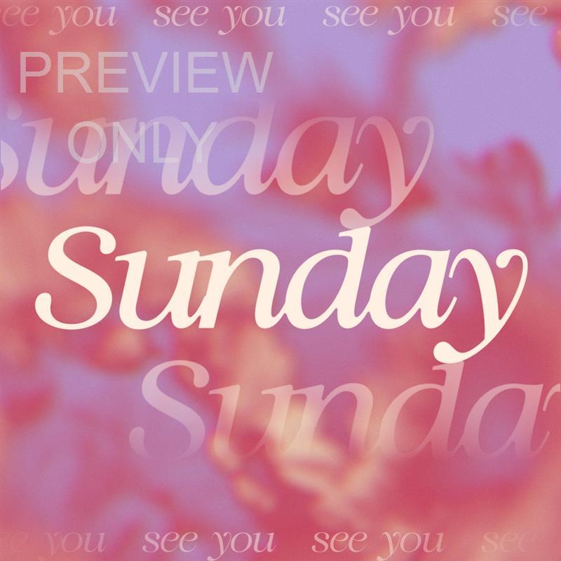 Made Beautiful Collection | Timber & Pearl | WorshipHouse Media