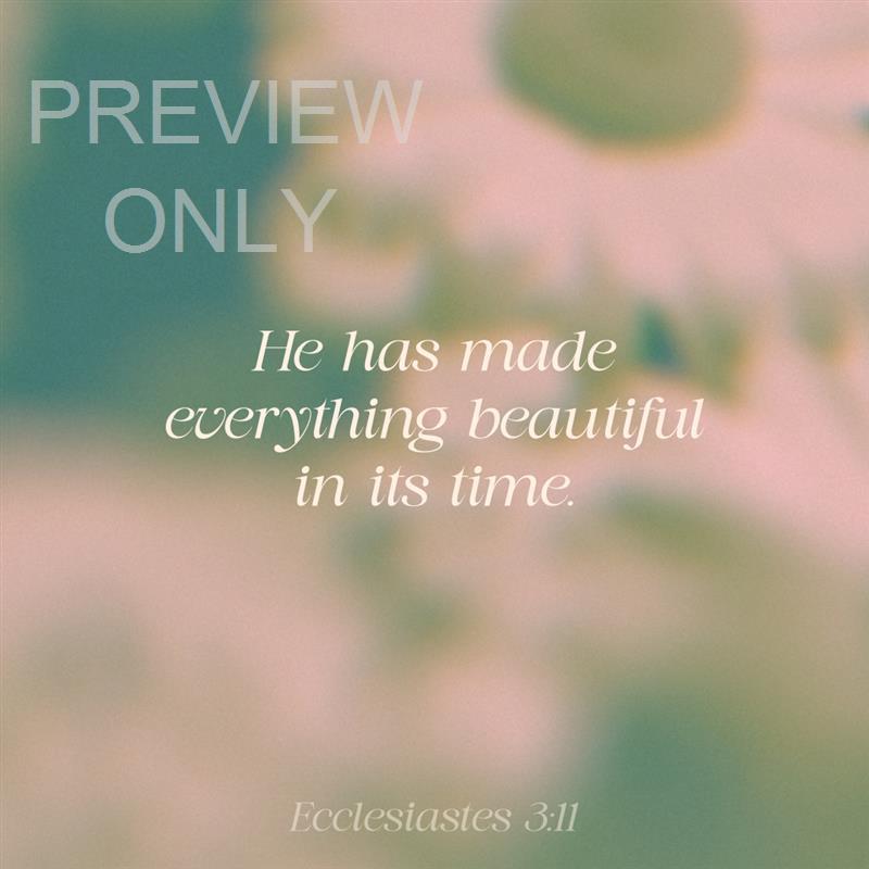 Made Beautiful Collection | Timber & Pearl | WorshipHouse Media