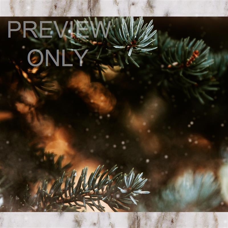 Evergreen Collection | Shift Worship | Playback Media Store