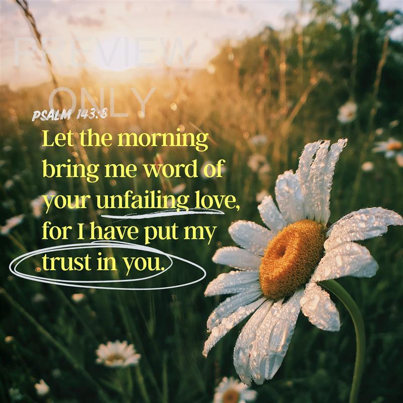 Psalm 143 8 Shift Worship WorshipHouse Media Psalm 143 8 Shift Worship WorshipHouse Media