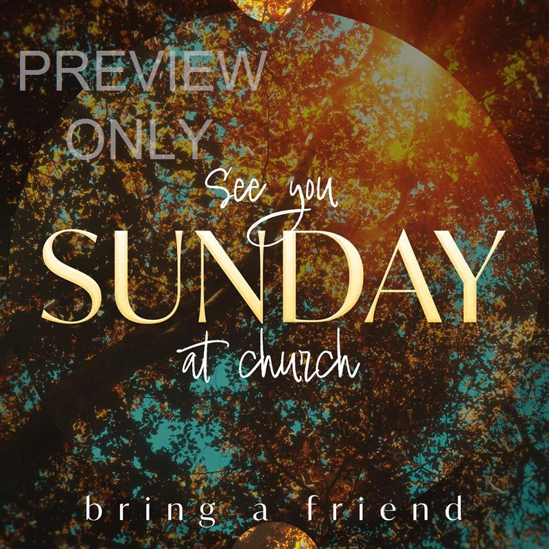 Sunday Autumn Canopies | Shift Worship | WorshipHouse Media