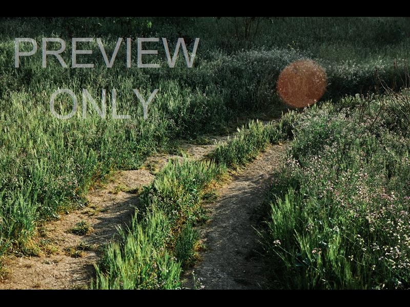 Grassy Path | joshfraner | WorshipHouse Media