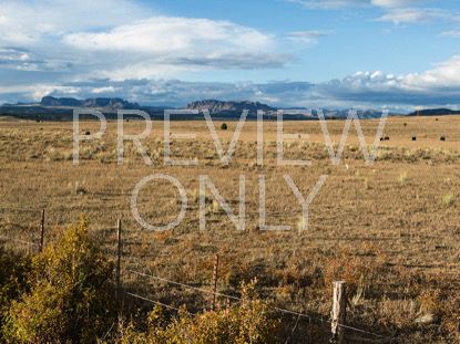 Open Fields | joshfraner | WorshipHouse Media