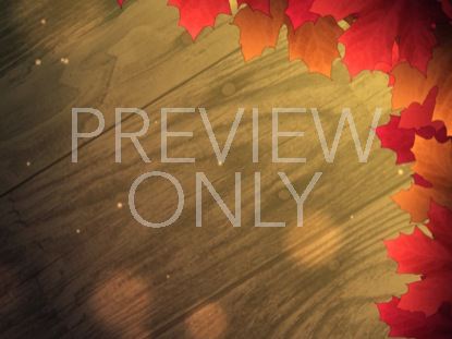 Autumn Leaves 02 | Centerline New Media | Playback Media Store