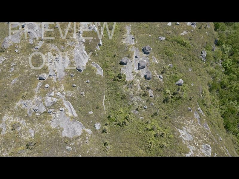 Halifax Service Pack | Centerline New Media | Playback Media Store