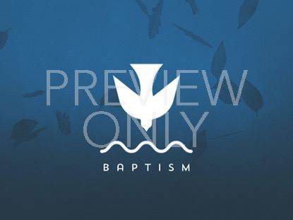 | Playback Media Store